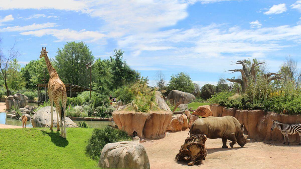 Zoo in Piemonte